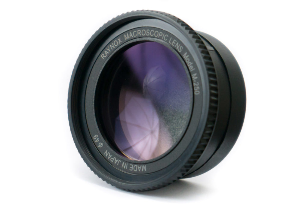 Makrofotografie mit Raynox DCR-250 Nahlinse (Review) – PhotonPixel